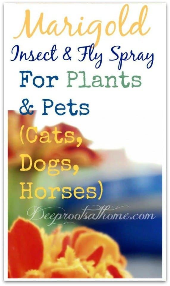 Marigold Insect & Fly Spray For Plants, Pets and Horses