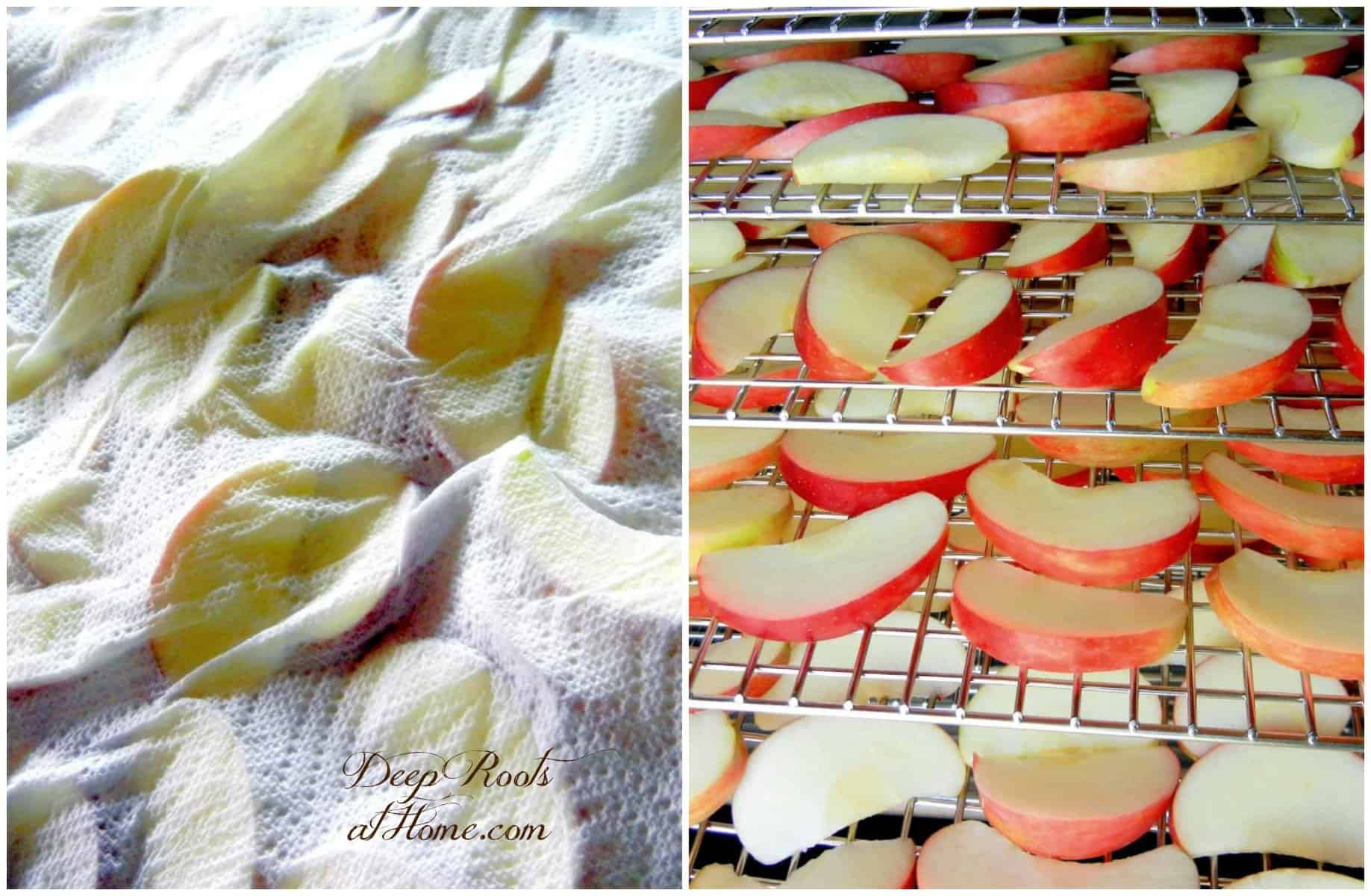 3 Simple Steps To Dehydrating Apples For Long Term Storage
