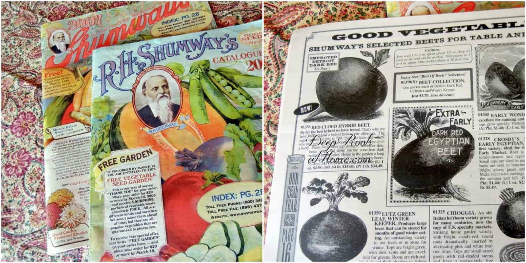 Easy To Make Your Own Little Newspaper Seedling Pots