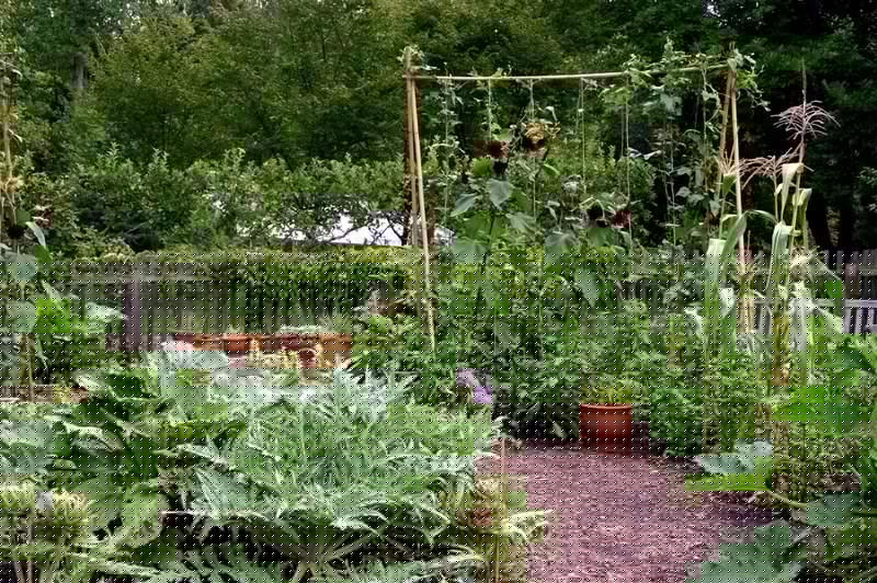 Potager French Garden Style: Combining Edible & Flowering Plants