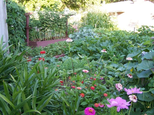 Potager French Garden Style: Combining Edible & Flowering Plants
