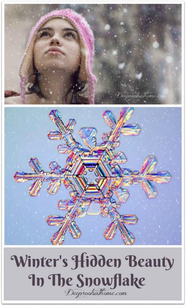 Winter's Epic Hidden Microscopic Beauty In The Snowflake