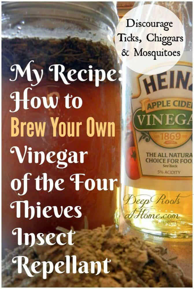 Insect Repellant: Vinegar of the 4 Thieves for Chiggers, Mosquitoes