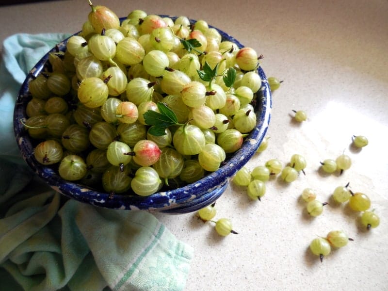 What Are Gooseberries? & A Homemade Gooseberry Pie Recipe