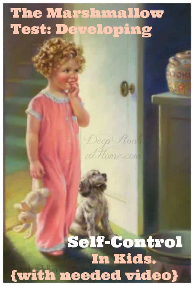 7 Sane Steps for Developing Self-Control In Kids: Great Video for Parents