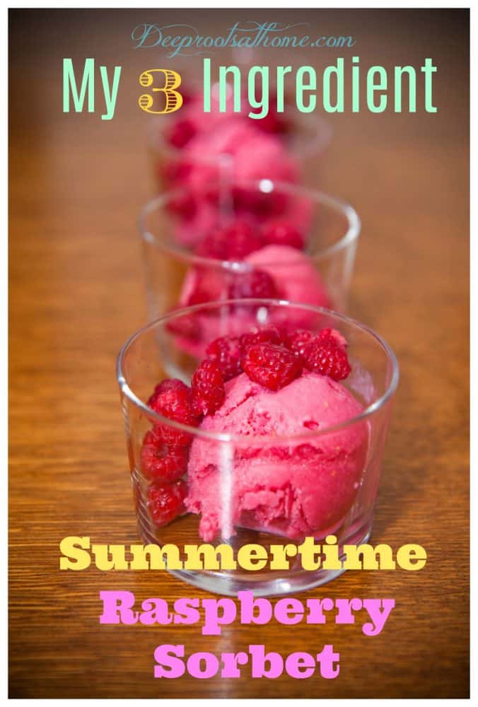 My Three Ingredient Summertime Raspberry Sorbet