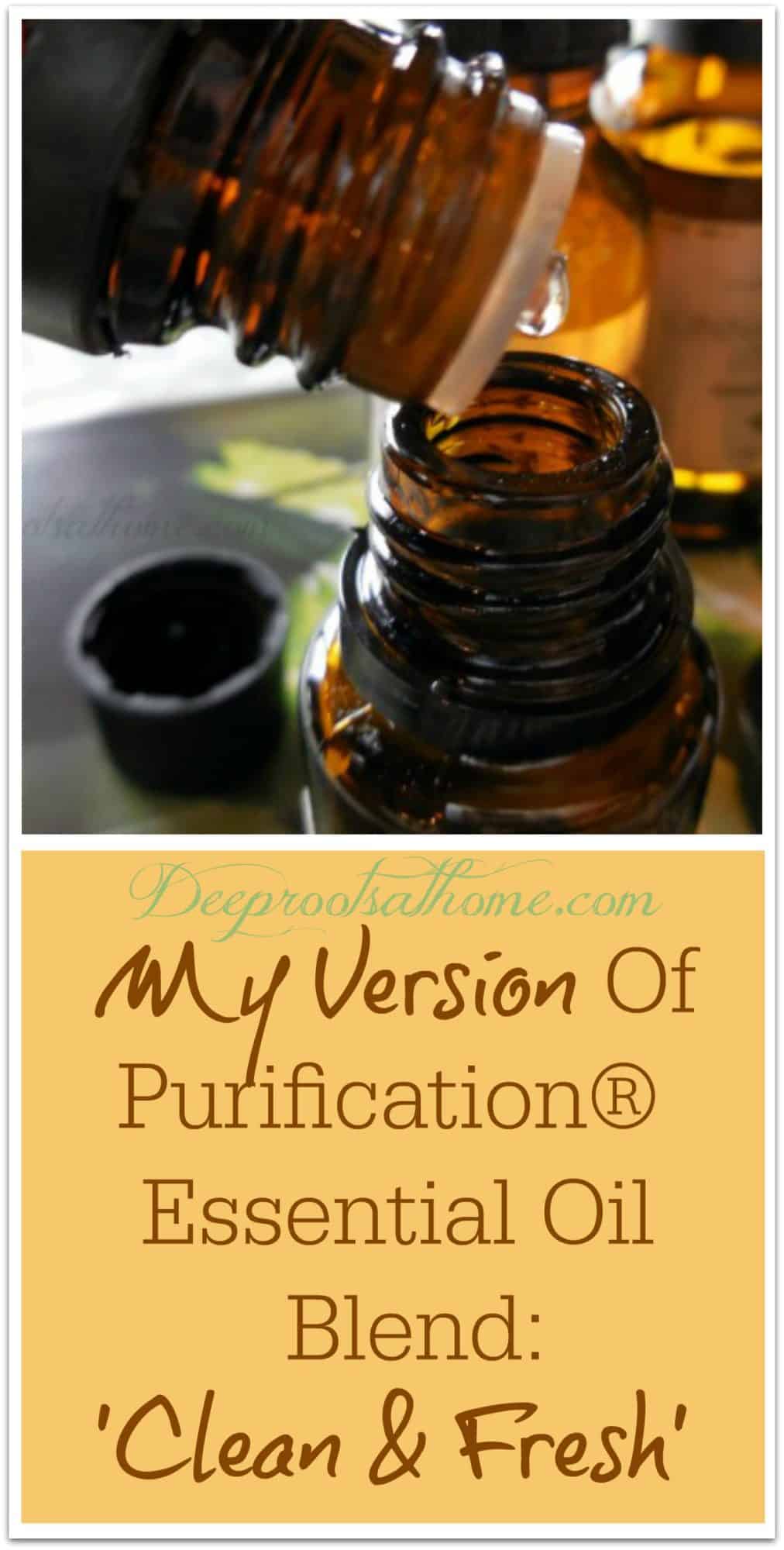 My Version Of The Well-Known Purification® Essential Oil Blend