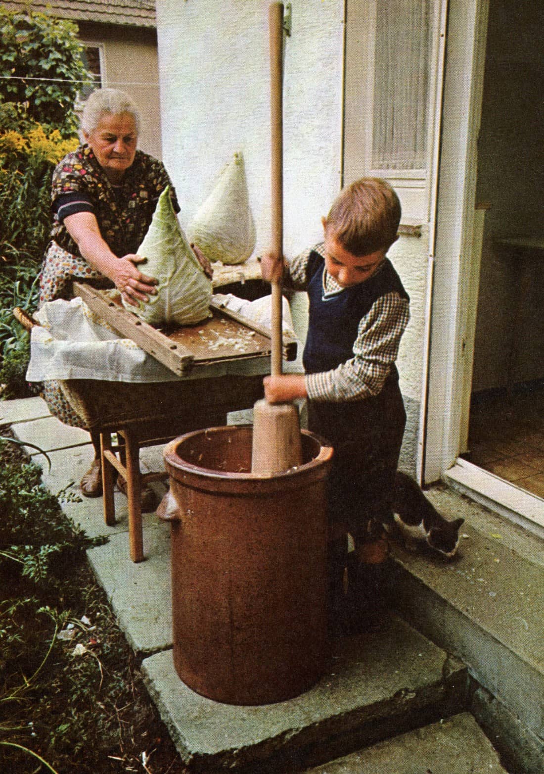 Steps To Achieving High Quality Sauerkraut Fermentation