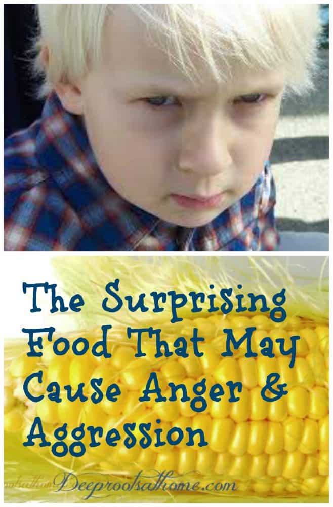 The Surprising Food That May Cause Anger & Aggression