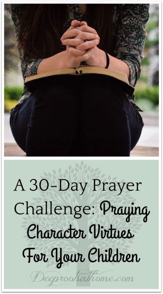 A 30-Day Prayer Challenge: Praying Character Virtues For Your Children