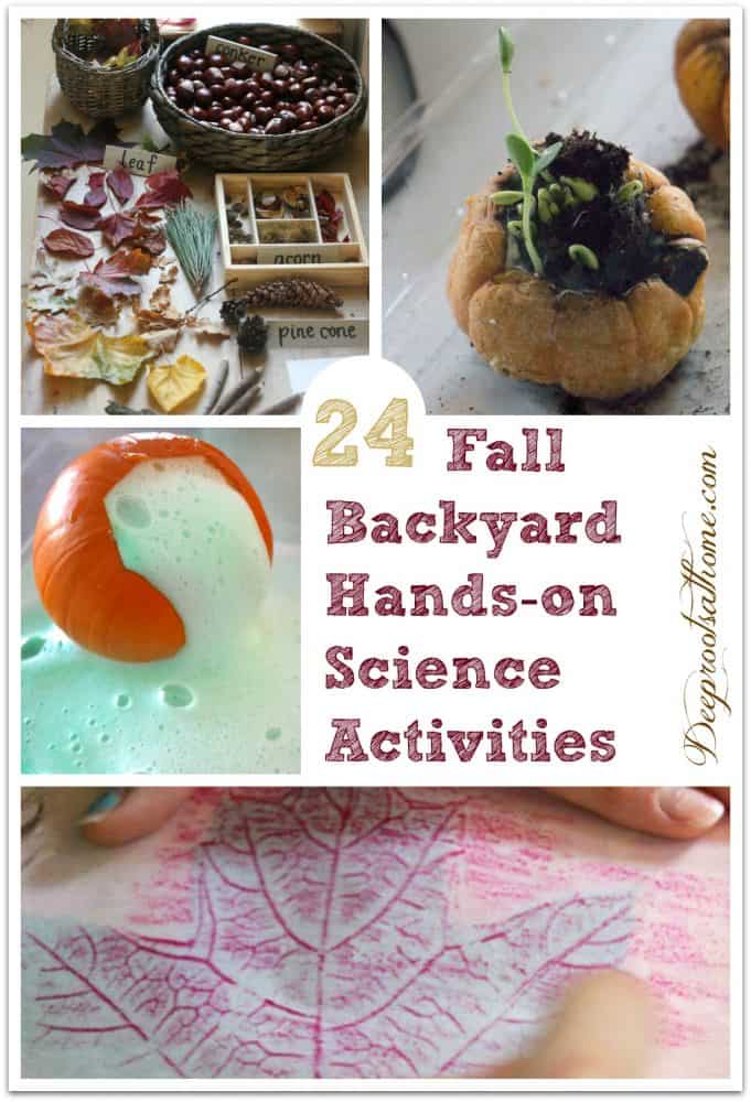 25 Fall Backyard Hands-on Crafts & Science Activities