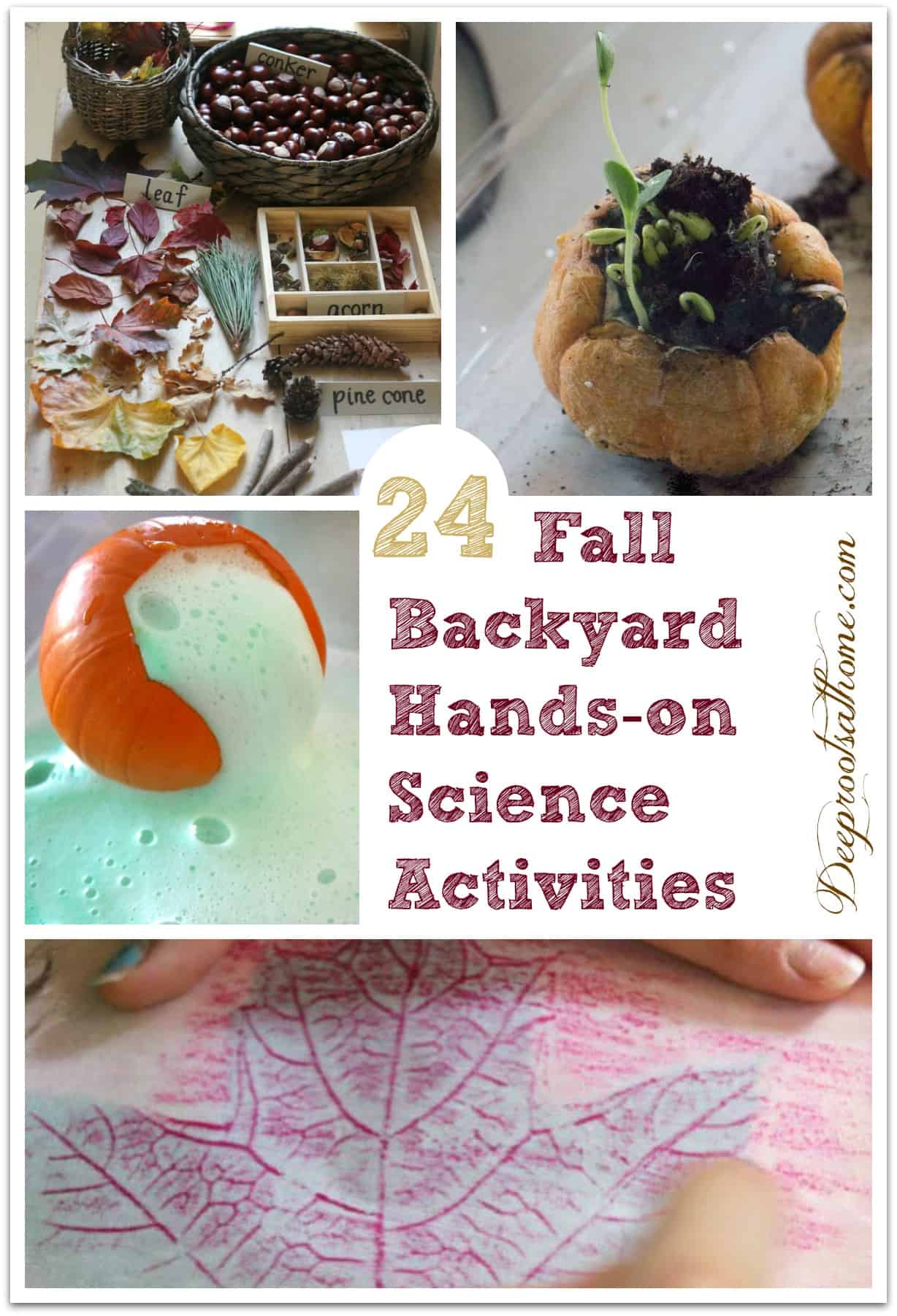 25 Fall Backyard Hands-on Crafts & Science Activities