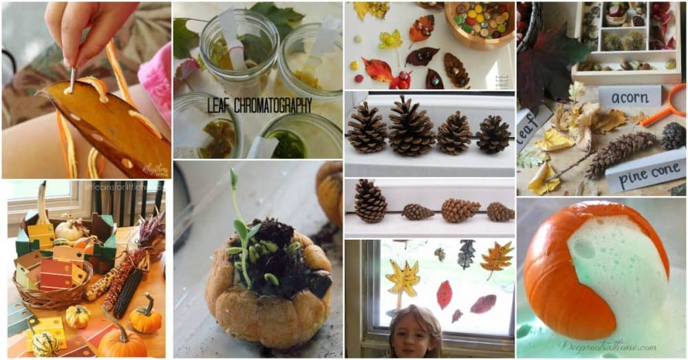 25 Fall Backyard Hands-on Crafts & Science Activities