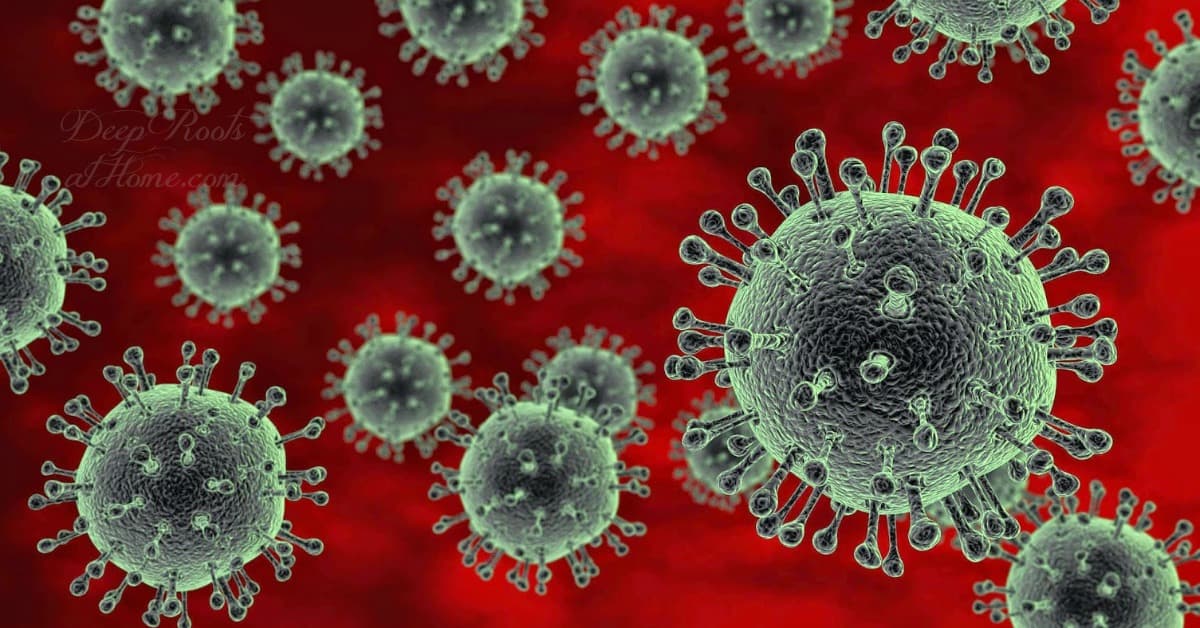 Nat'l Acad. of Sciences: Flu Vaccine Recipients Shedding More Flu Virus