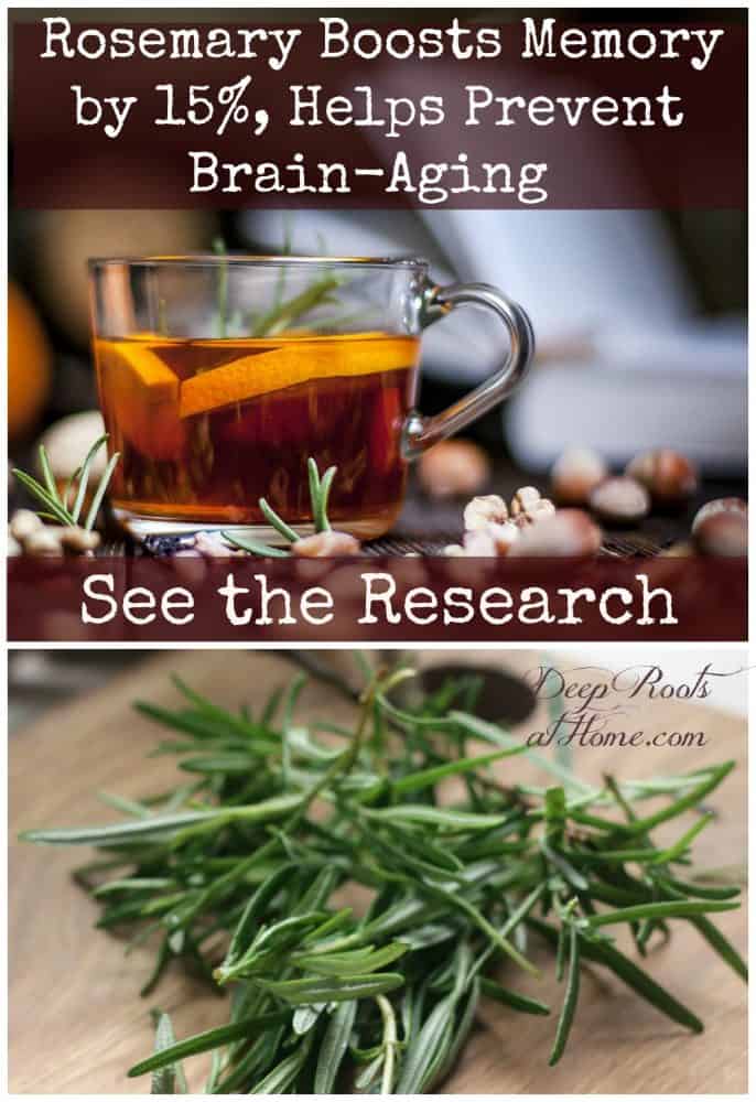 Rosemary Boosts Memory 15%, Prevents Brain-Aging Says Science