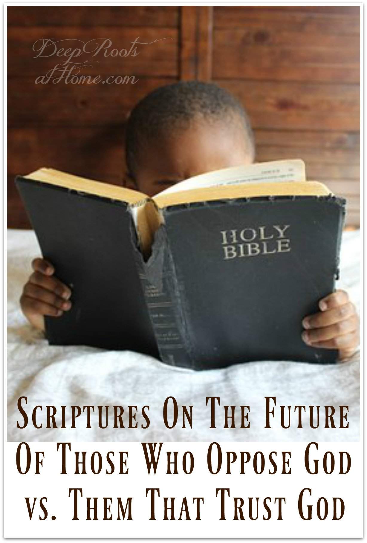 Scriptures on the Future of those who Oppose God vs. them that Trust God