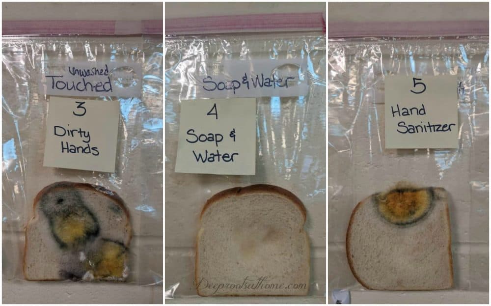 Good Handwashing Starts in the Home: Slow Viruses in Flu Season