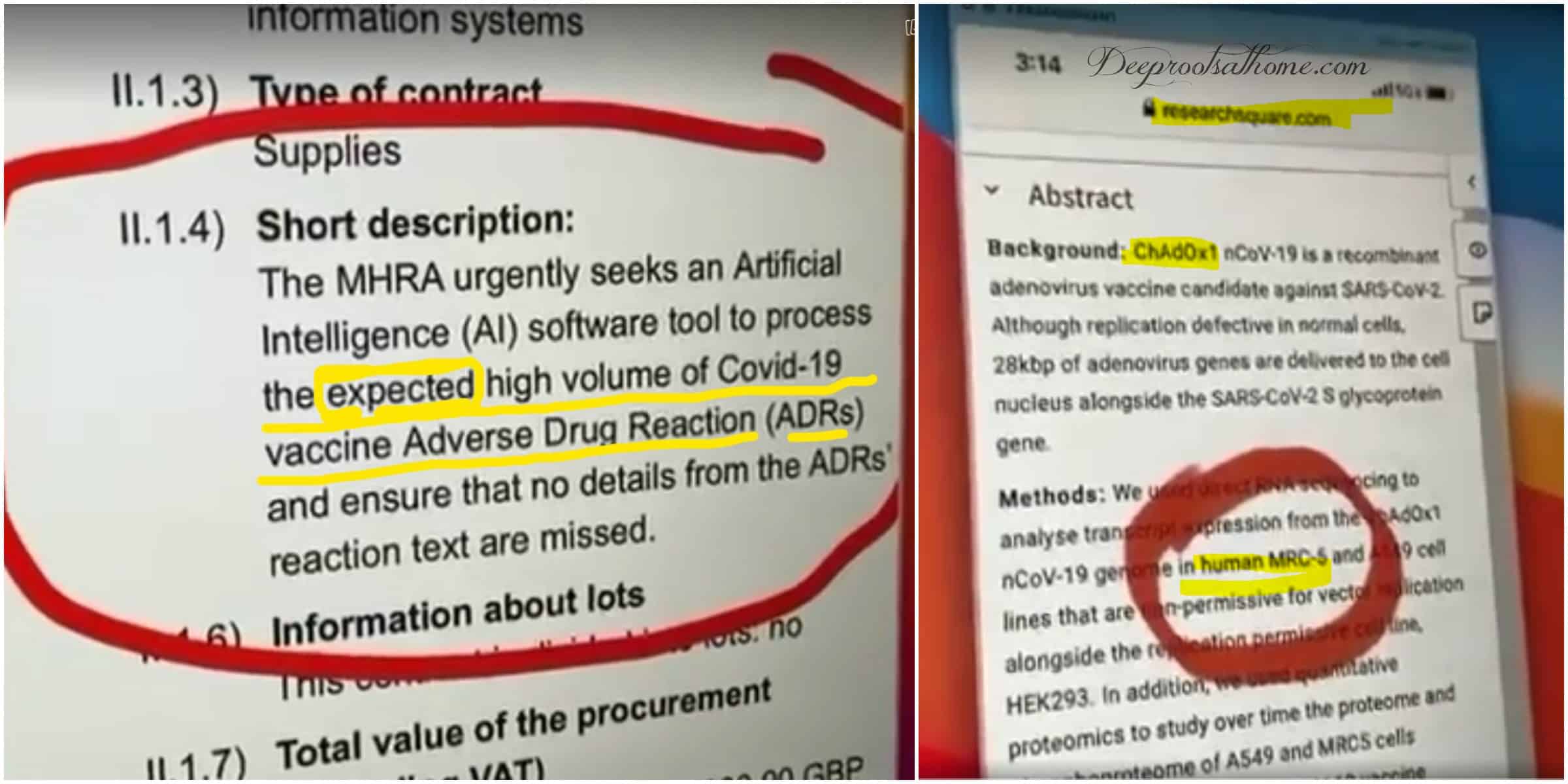 Transverse Myelitis, Gardasil, & Colton Berrett's Story