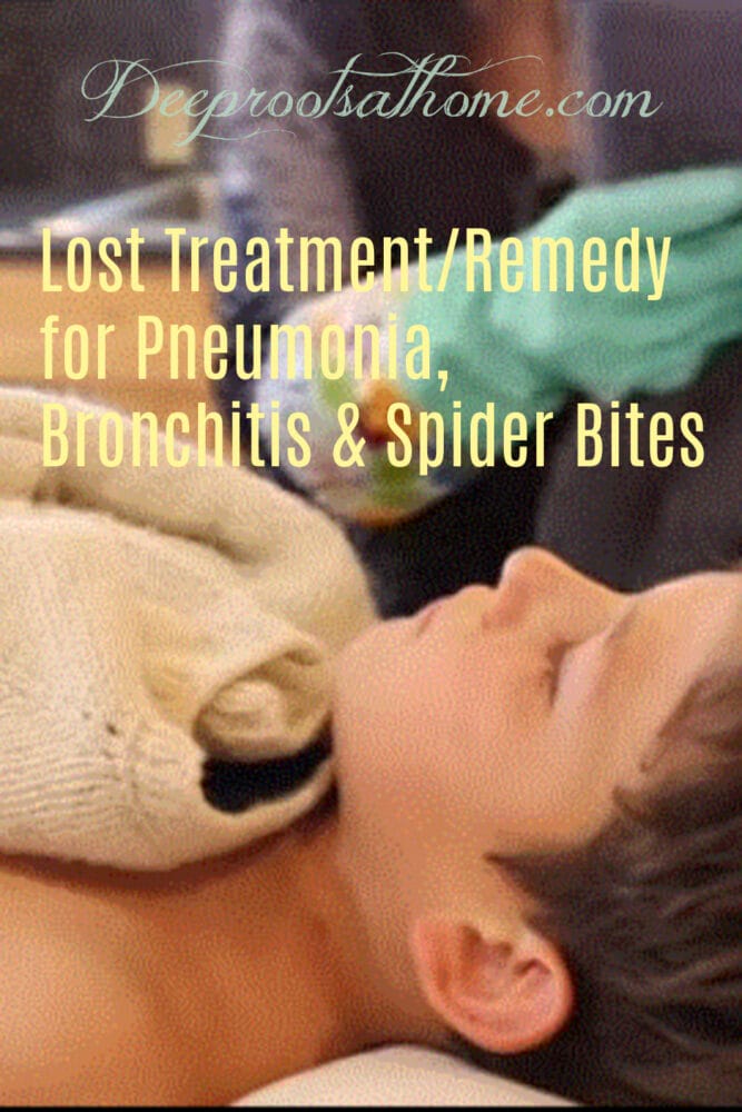 'Fomentation': Lost Treatment for Pneumonia, Bronchitis, Spider Bites