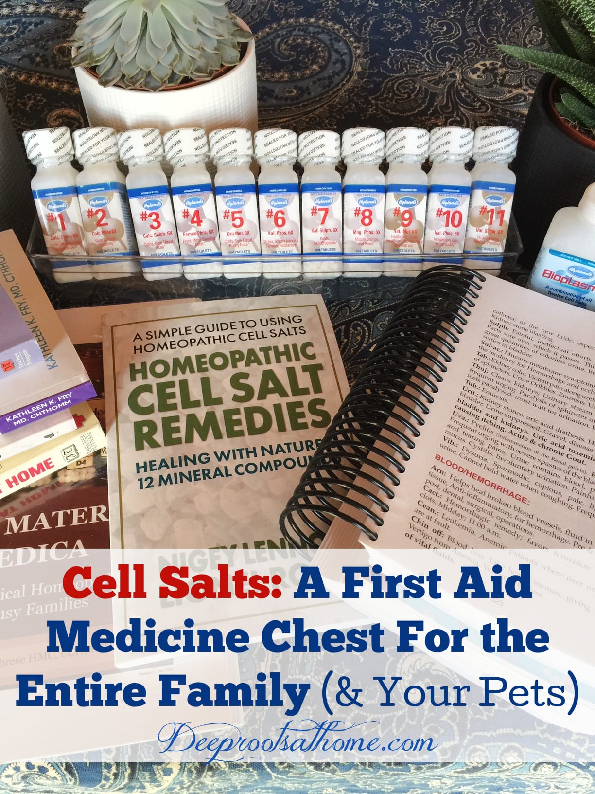 Cell Salts: Very Inexpensive First Aid For Your Entire Family & Pets