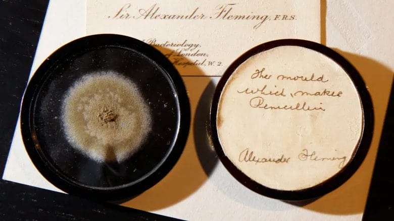 Nature's Penicillin: For Pneumonia, Earache, Flu, Bronchitis & More