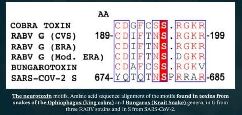 Why I Now Use Nicotine Patches, But Have Never Smoked